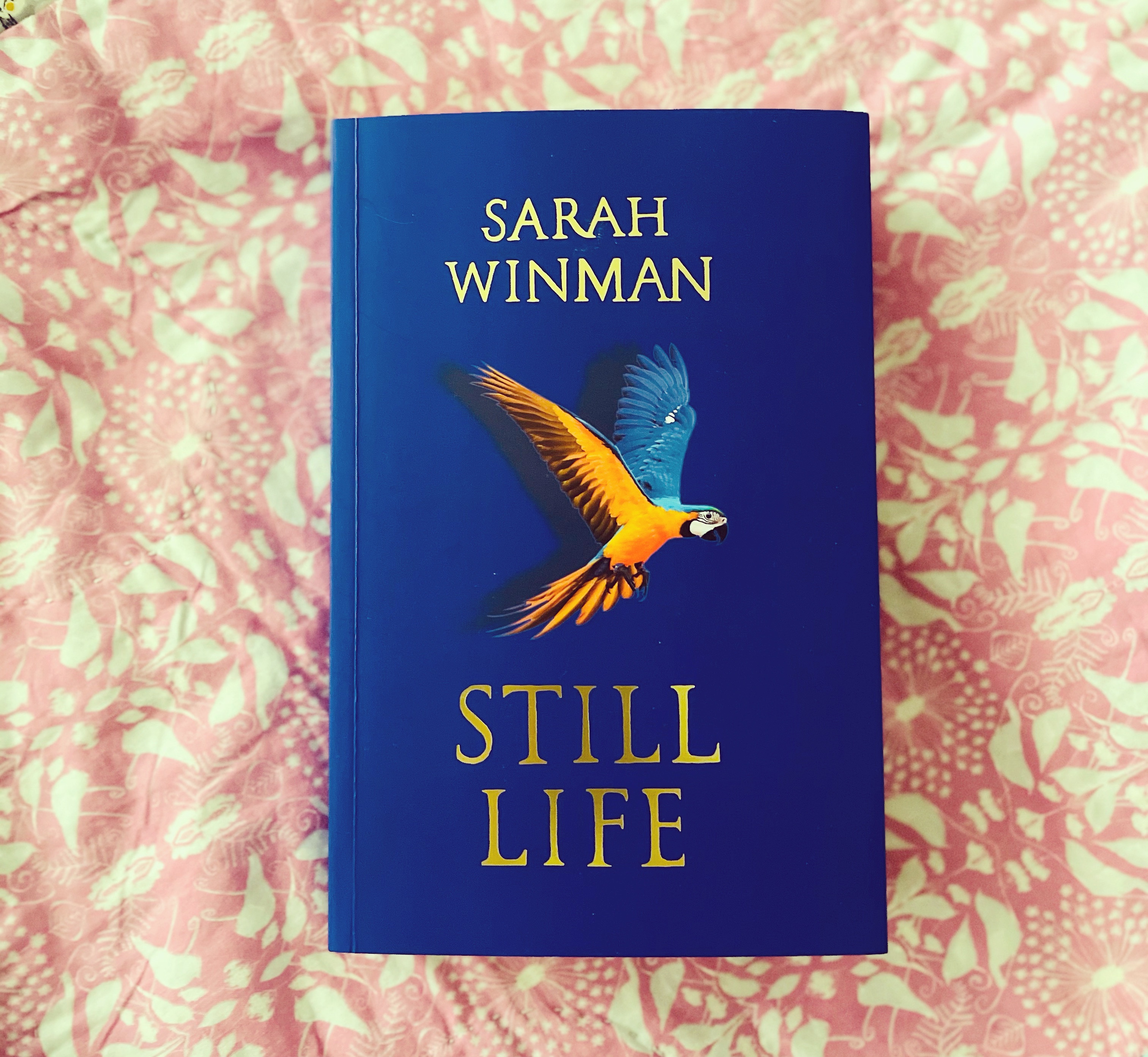 Still Life by Sarah Winman – Years of Reading Selfishly