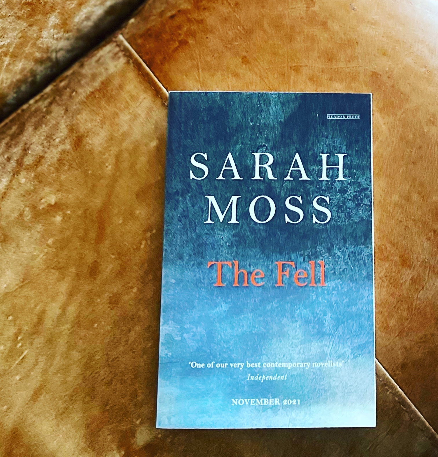 The Fell by Sarah Moss – Years of Reading Selfishly
